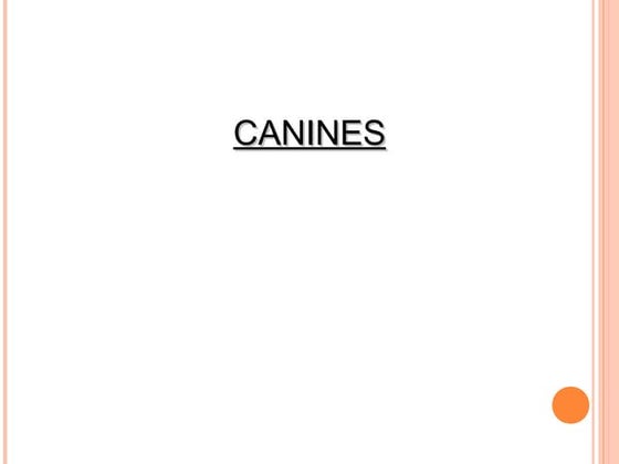 Permanent Maxillary & Mandibular Canine | PPTX | Dental Health | Diseases and Conditions