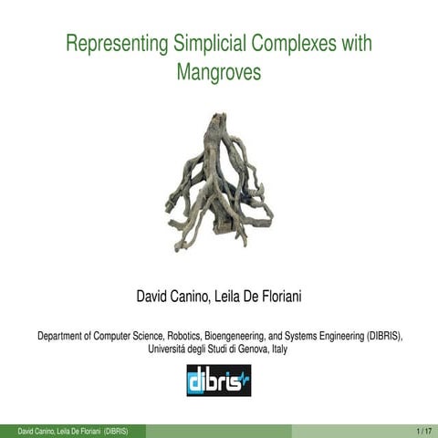Representing Simplicial Complexes with Mangroves | PPT