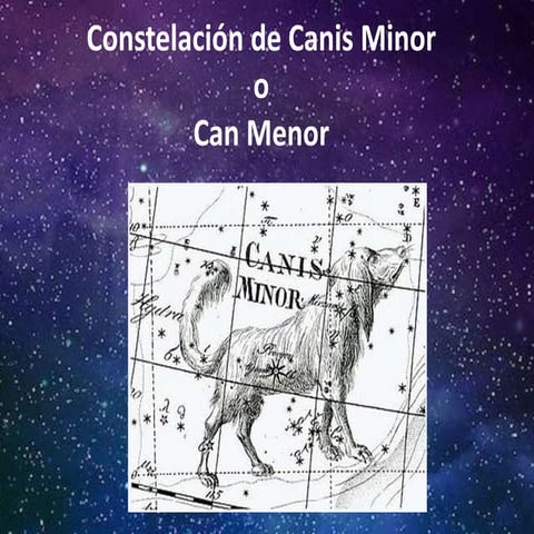 Constelación Del Can Menor