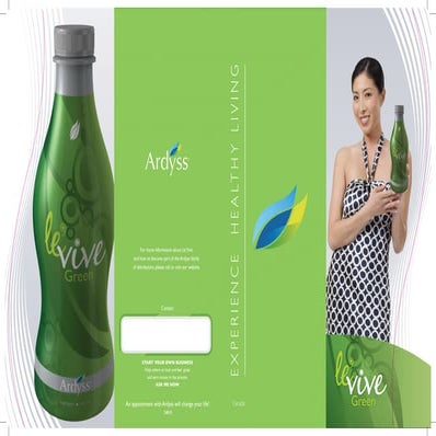 VISI ENERGY BROCHURE | PDF