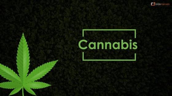 Cannabis | PPTX