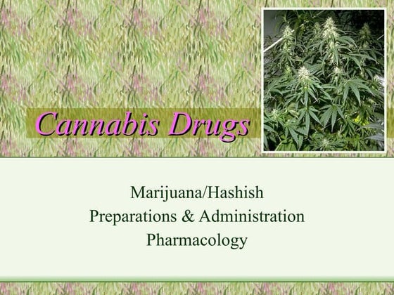 Cannabis | PPTX