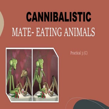 CANNIBALISTIC.pptx