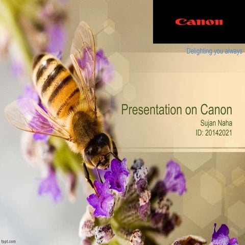 Cannon Branding | PPTX