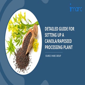 Canola / rapeseed Processing Plant Project Report.pptx