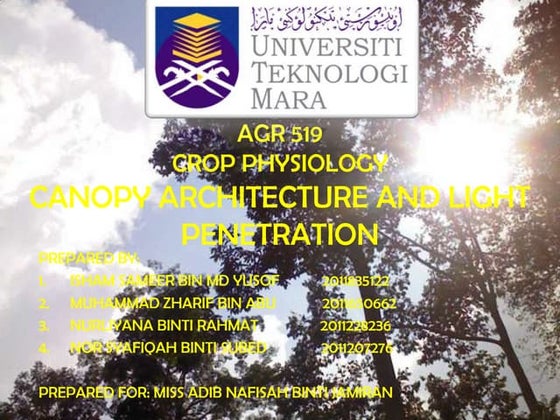 Silviculture and Agroforestry Presentation.pptx
