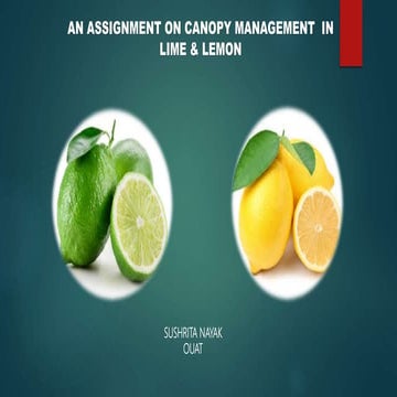 Canopy managemnt in lime and lemone | PPTX