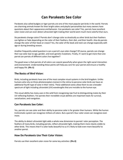 What Color is Parakeet: Most 15 Famous Color Types of Parakeet | PDF