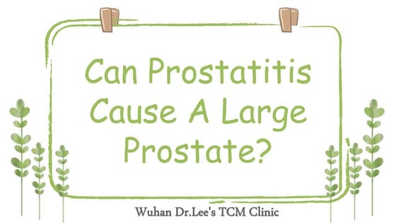 Prostatitis and Kidney Pain Know Your Risks.pptx