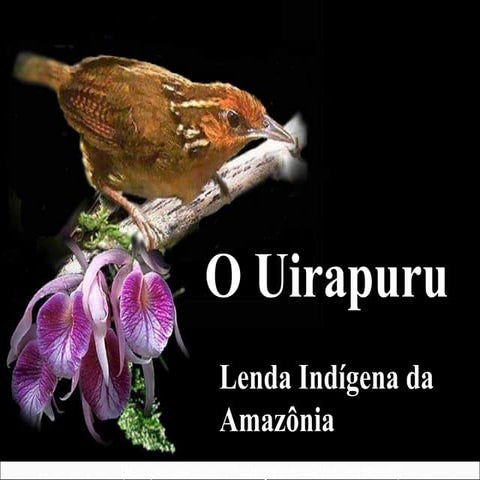 Canto do uirapuru lenda indígena | PPS