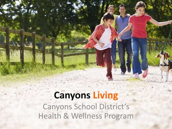 Tyler Toone, Web manager at Canyons school district