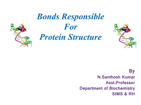 Forces that stablise protein structure | PPTX | Chemistry | Science