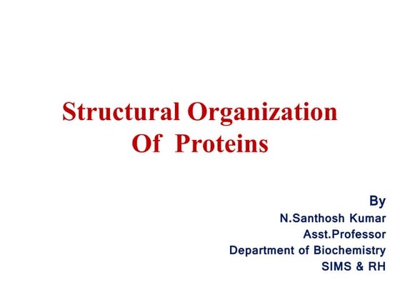 Secondary structure of proteins.pptx | Chemistry | Science