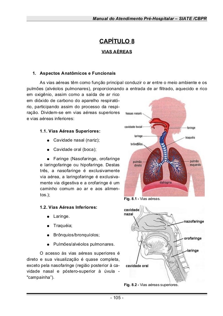 Diagrama Das Vias Aereas Orofaringeas