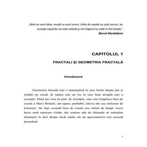 Cap. 1 fractali si geometria fractala | DOC
