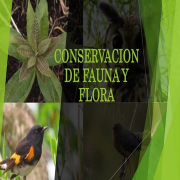CAP. FAUNA Y FLORA.pptx