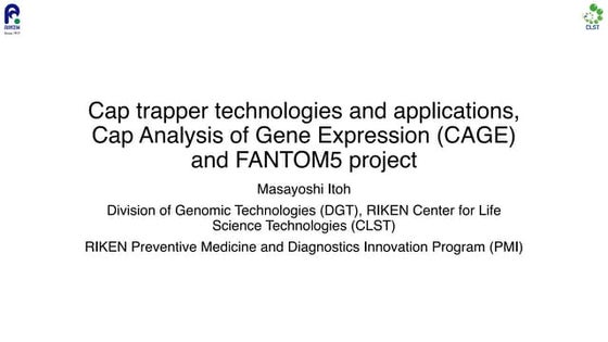 Developing Innovative CAR-NKT Cell Immunotherapy: Off-the-shelf ...