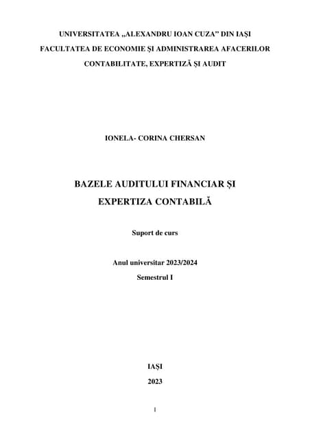 Raport de audit intern | DOCX