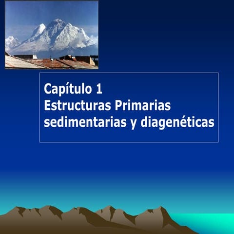 Cap 1 Estructuras primarias Sedimentarias.pdf