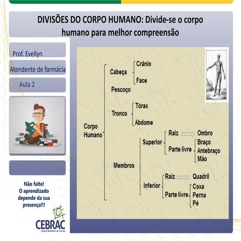 Partes do corpo humano | DOC