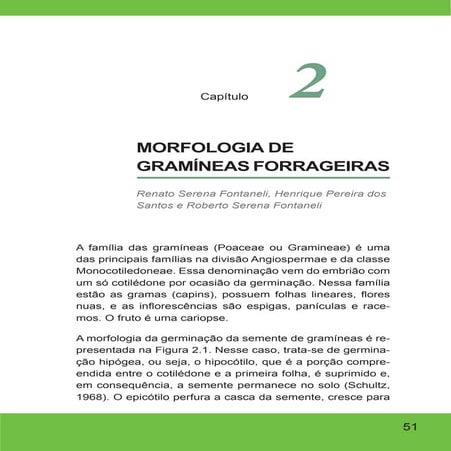 cap2 MORFOLOGIA DE GRAMÍNEAS.pdf