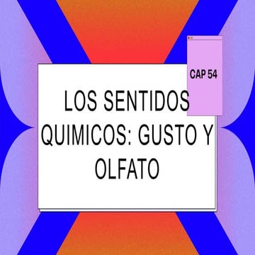 Sentido del olfato fisiologia ii | PPTX
