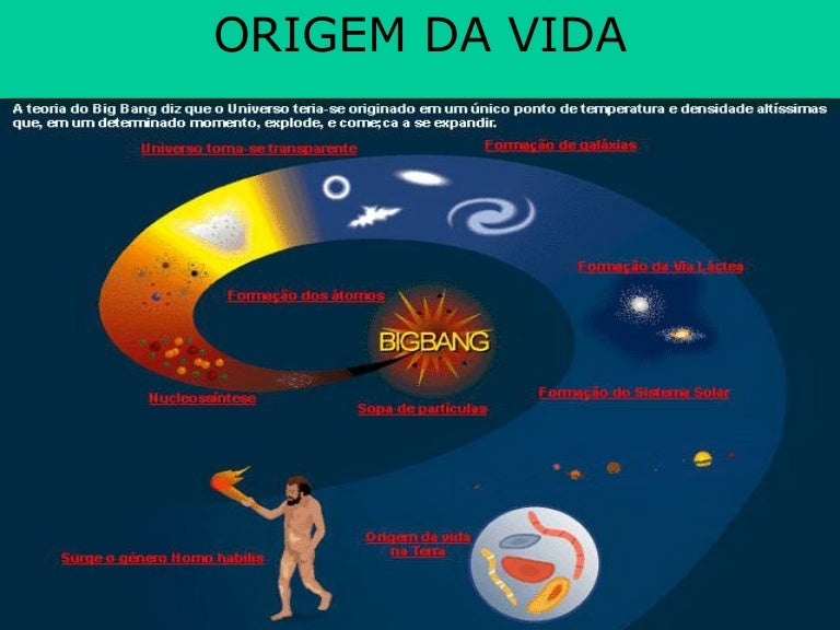 Cap 9 a origem da vida