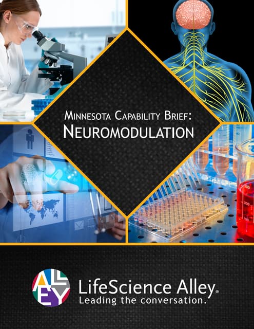 Steve Reimers HBOT & football-related brain injury | PPT