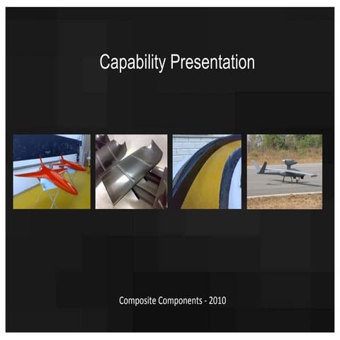 Capability Presentation 2010 | PPS
