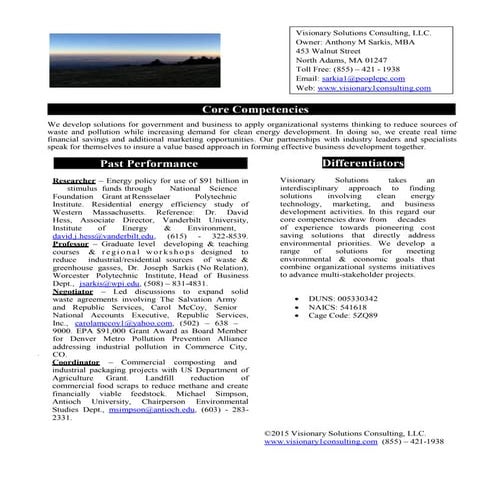 Consulting Capability Statement | PDF