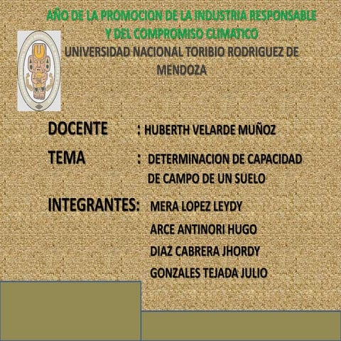 apoplasto y simplasto Absorcion del agua por las plantas | PDF