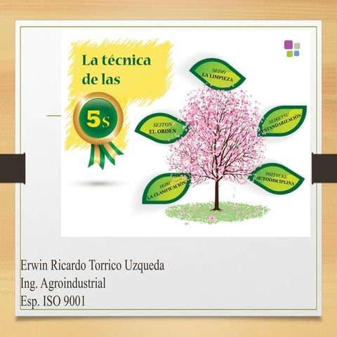 CAPACITACION 5s en el area de alimentos.pptx
