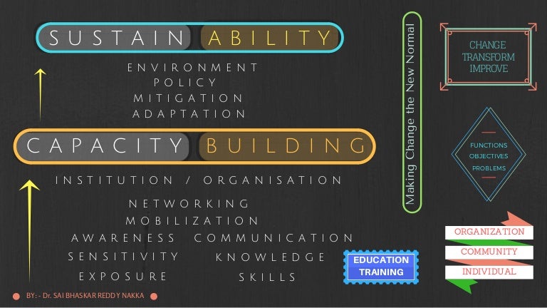 Capacity Building and Sustainability