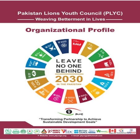 PLYC- Organizational Capacity Profile | PDF