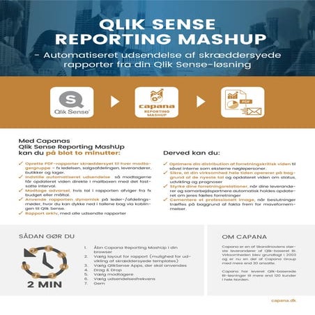 Capana Reporting Mashup | PDF