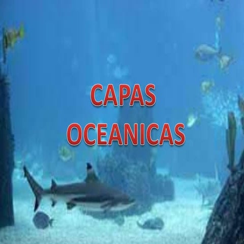 Capas oceanicas | PPTX