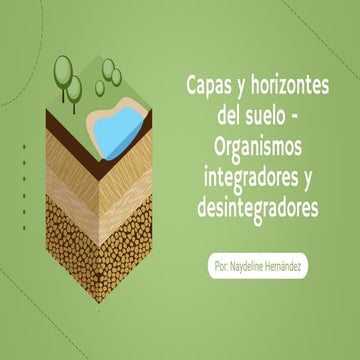 Capas y horizontes del suelo. | PPTX