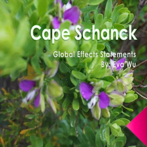 Cape schanck SAC | PPTX