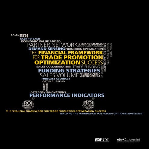 Capgemini financial framework for tpo report final | PDF