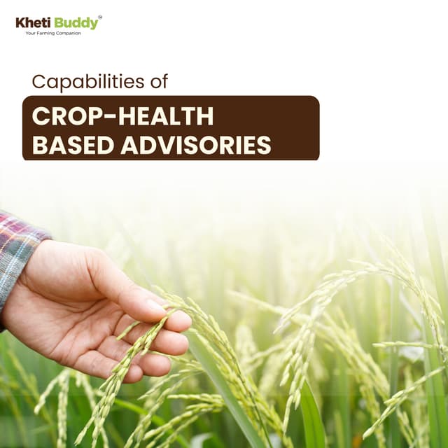 Capabilities of Crop Based Health Advisors.pdf