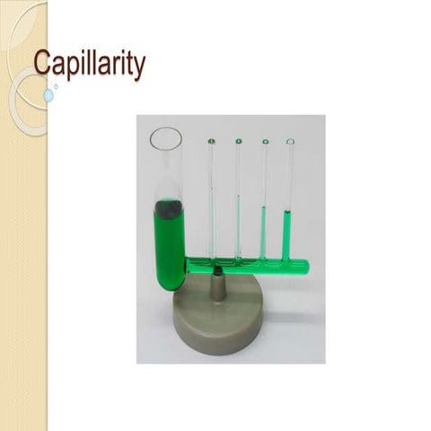 Capillarity | PPTX