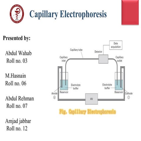 Capillary Electrophoresis | PPT