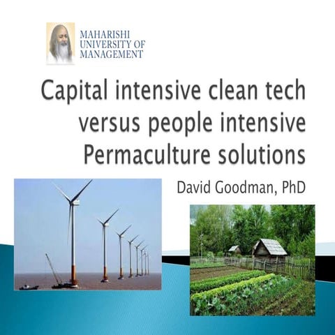 Capital Intensive Clean Tech and Micro-Financed Green Solutions: A ...