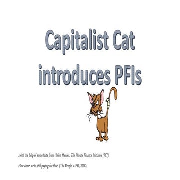 Capitalist Cat's Guide to PFIs | PPTX