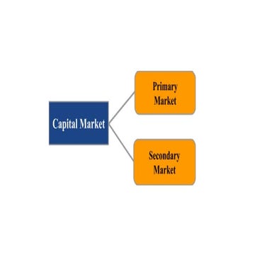 capital market.pptx