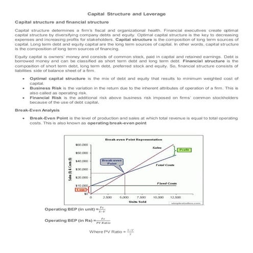 Capital structure bbs 3rd | DOCX