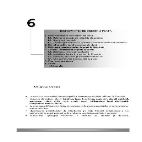 Capitolul%206 | PDF