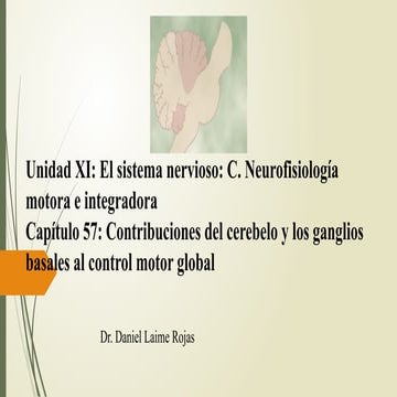 capitulo-57-contribuciones-del-cerebelo-y-los-ganglios-basales-al ...