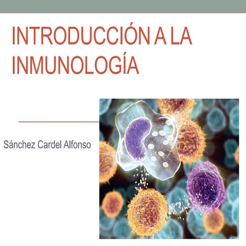 Inmunidad innata: la primera linea de defensa del organismo ...