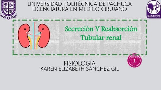FORMACIÓN DE LA ORINA POR LOS RIÑONES:FILTRACIÓN GLOMERULAR, FLUJO ...